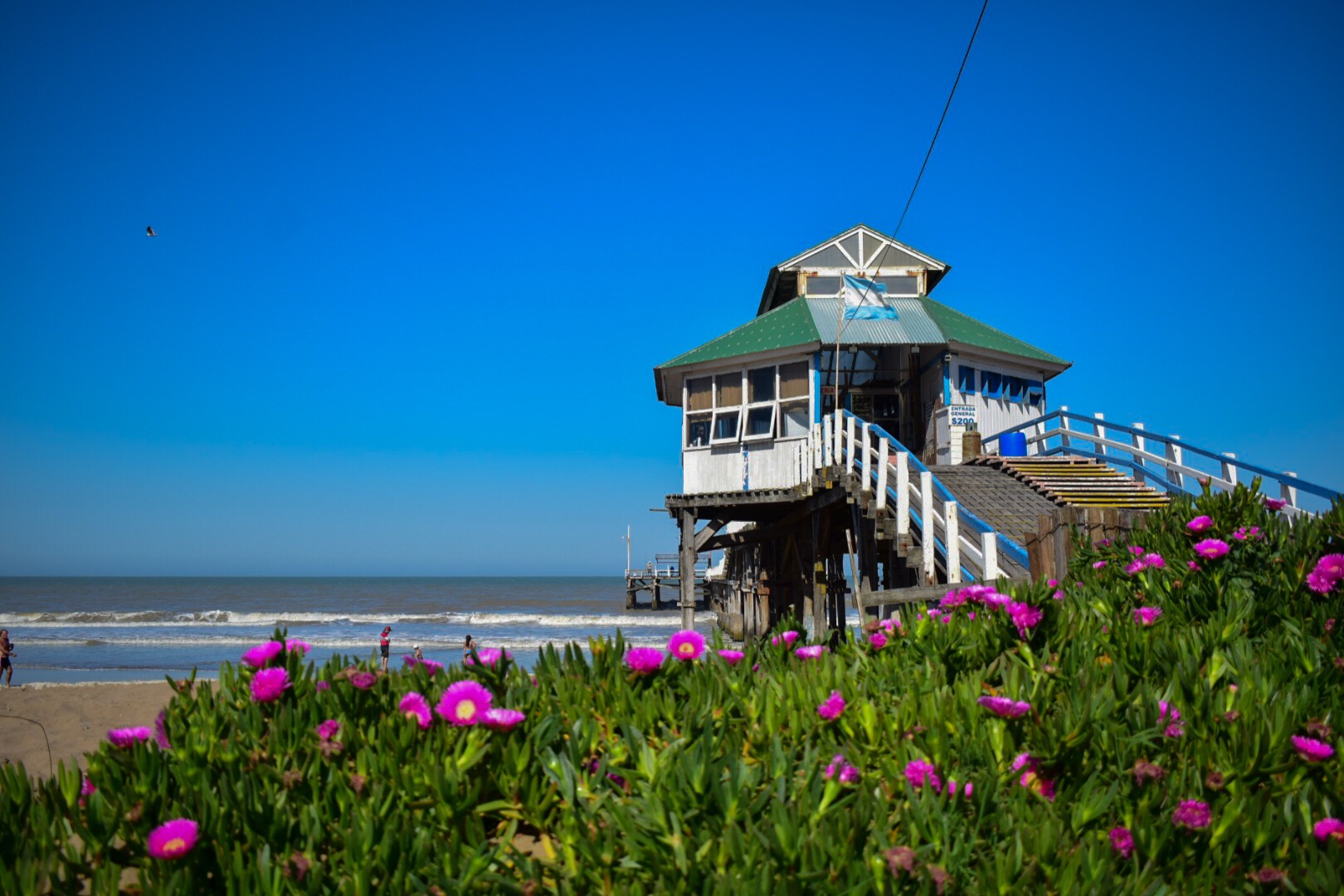 OPINIÓN DE LA COSTA - DIARIO DIGITAL